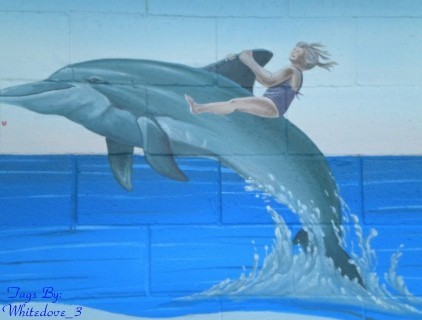 DOLPHIN RIDE (in Clipart)