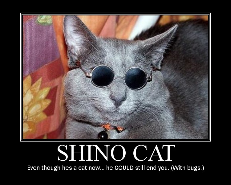 Shino Cat (in Clipart)