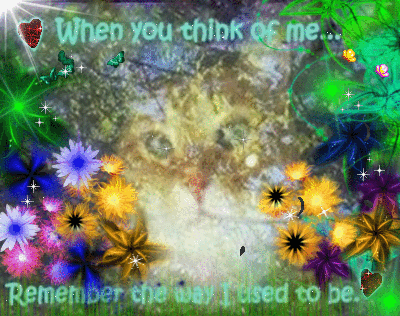 WHEN YOU THINK OF ME... (in Animated GIFs)