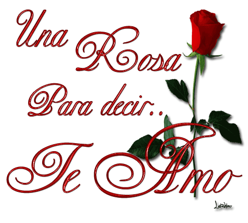 Te amo con una rosa - Imagui