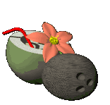 tropical coconut drink (in Animated GIFs)