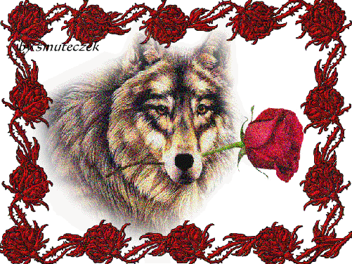 Wolf in roses (in Sparkles)