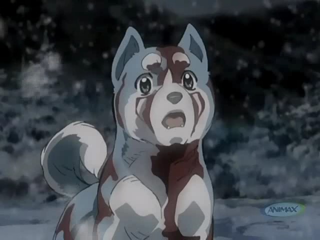 Ginga densetsu weed (in Backgrounds)