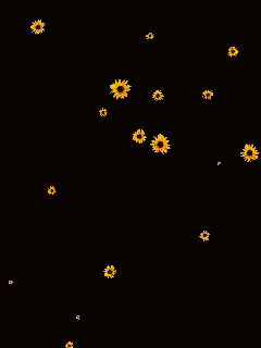 GIRASOLES CON FONDO NEGRO (in Backgrounds)
