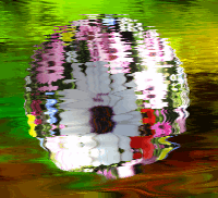 RIPPLING FLOWER BALL (in Animated GIFs)
