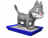 cat kicking in litterbox (in Animated GIFs)