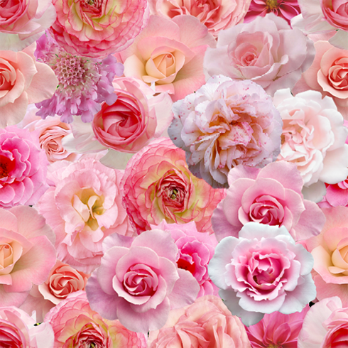 seamless pink roses love spring background (in Backgrounds)