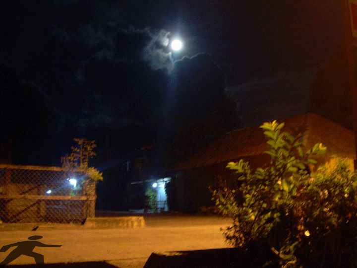 shadow in the street (in Animated GIFs)