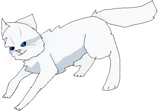 cat (in Animated GIFs)