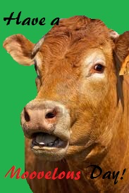 Have a moovelous day! (in Clipart)
