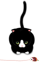 cat (in Animated GIFs)