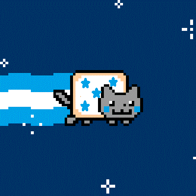 Honduran Nyan Cat! (in Animated GIFs)