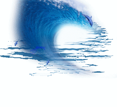 sea (in Animated GIFs)