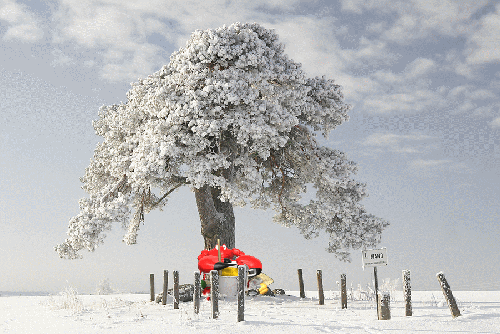 Soup Snow (in Animated GIFs)