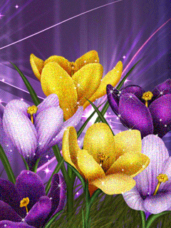 Spring Flowers (in Backgrounds)