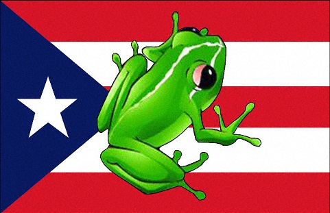 Puerto Rican Flag & Coqui (in Backgrounds)