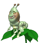 Caterpillar (in Animated GIFs)