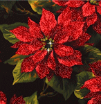 Poinsettia (in Backgrounds)