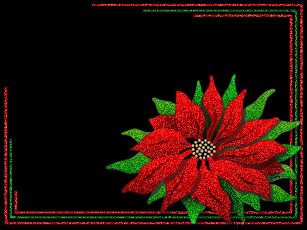 Poinsettia (in Backgrounds)