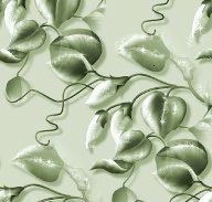 Vine - Background (in Backgrounds)