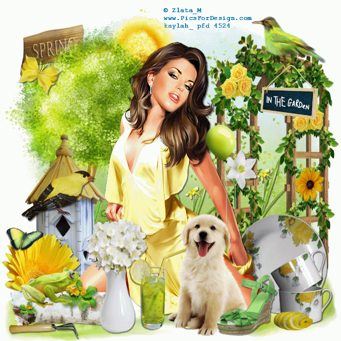 spring (in Seasonal)