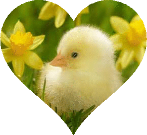 Spring Chick (in Clipart)