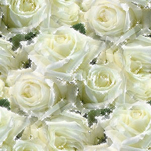 Roses - background (in Backgrounds)
