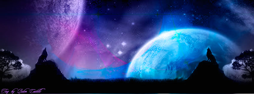 Fantasy Wolf (in Facebook Covers)