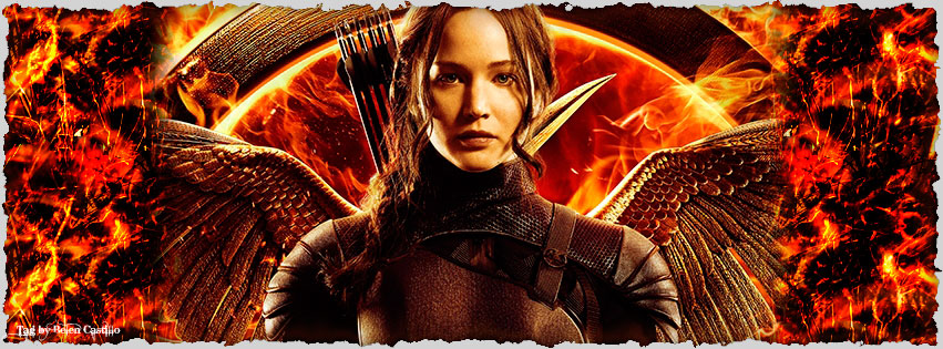 The Hunger Games - Mockingjay (in Facebook Covers)