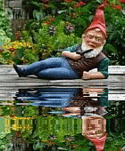 picture,animated,figure (in Animated GIFs)