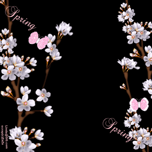 Spring Flowers (in Backgrounds)