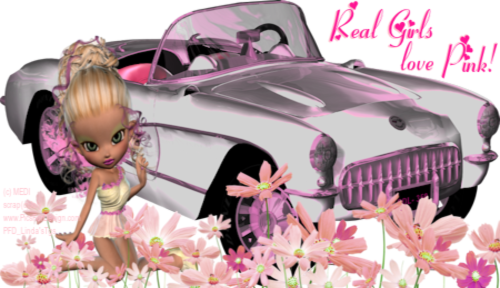 Real Girls Love Pink (in Sparkles)