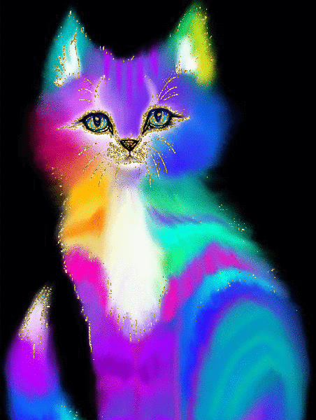 multicolor cat (in Sparkles)