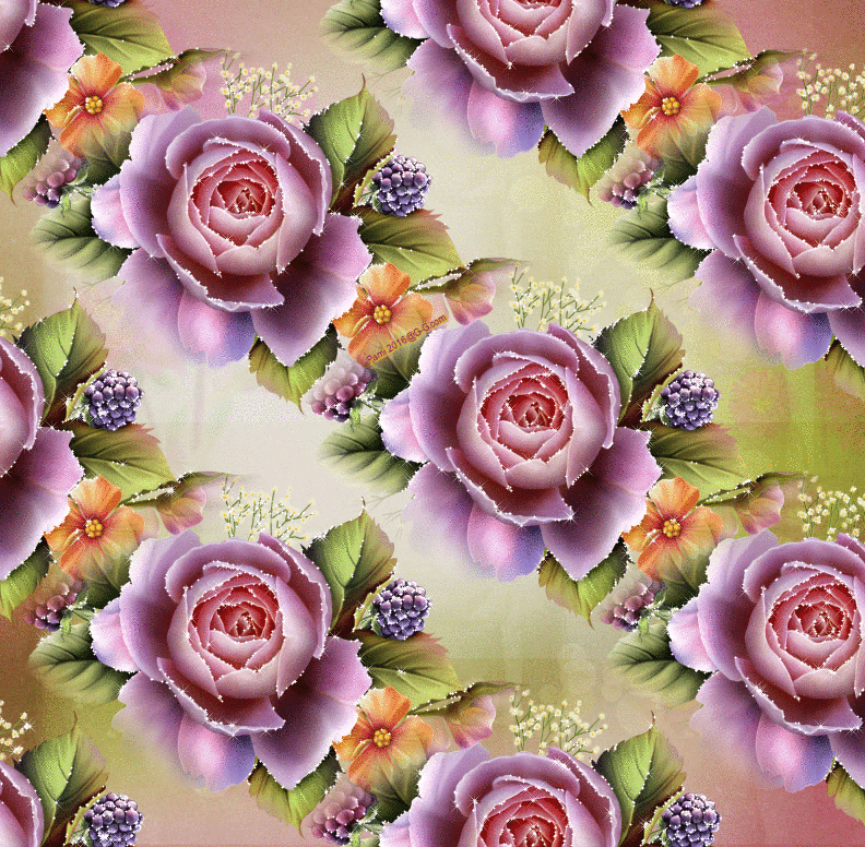 Roses ~ background (in Backgrounds)
