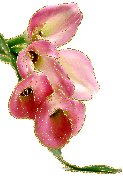 callas (in Sparkles)