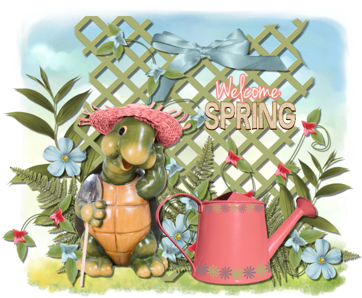 Spring Turtle (in Seasonal)