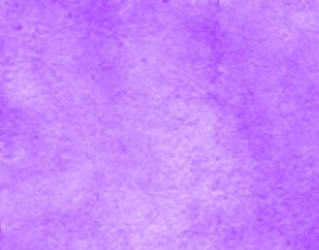 Animated Purple Background/glitterfill (in Backgrounds)