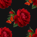 Red Rose on black background (in Backgrounds)