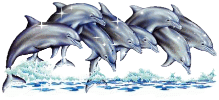 Dolphins (in Animated GIFs)