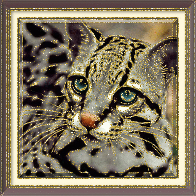 animals (in Animated GIFs)