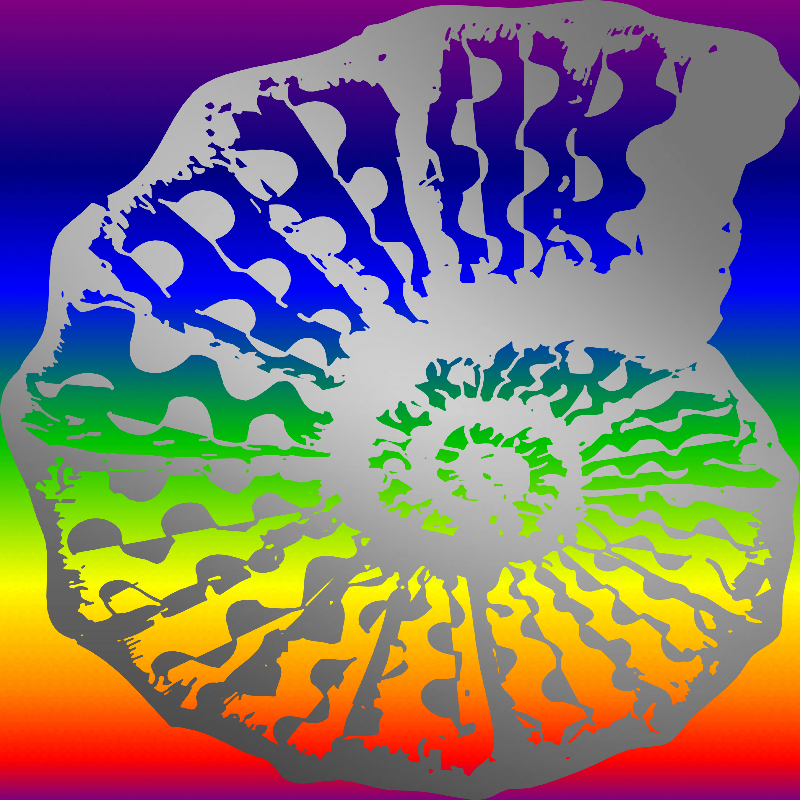 Shell (in Backgrounds)