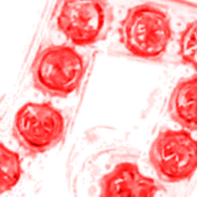 LifeIsASongInRedWhiteBlueNotes (in Animated GIFs)