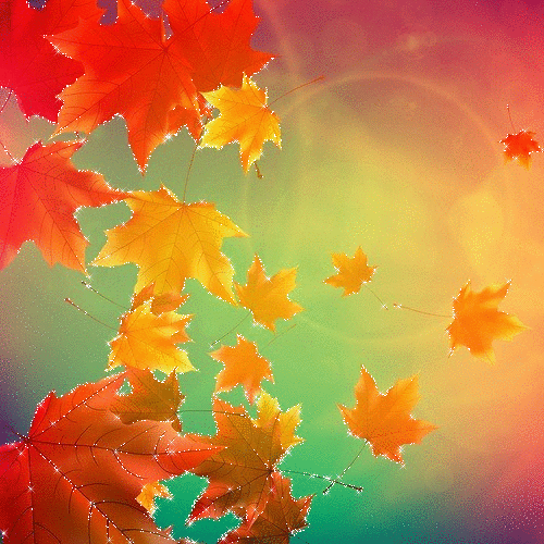 Autumn Fall ~ Background (in Backgrounds)