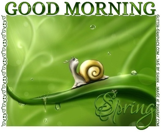 GOOD MORNING SPRING, FLOWERS, SNAIL, CUTE, TEXT (in Seasonal)