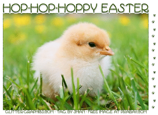 HOP-HOP-HOPPY EASTER, CHICK, HOLIDAYS, TEXT (in Seasonal)