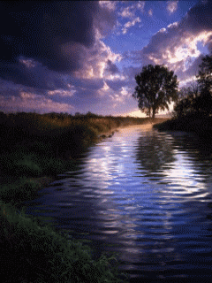 Animated Gif Wallpaper 240x320