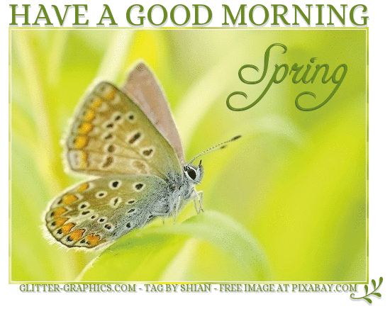 HAVE A GOOD MORNING.. SPRING, ANIMALS, BUTTERFLY, TEXT (in Seasonal)