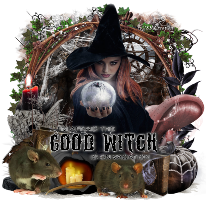 The Bad Witch (in Seasonal)