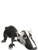 badger (in Animated GIFs)