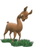 llama eating (in Animated GIFs)